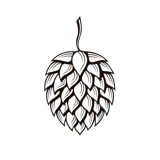Intricate Hop Cone: A Botanical Illustration | Jiffy Designs