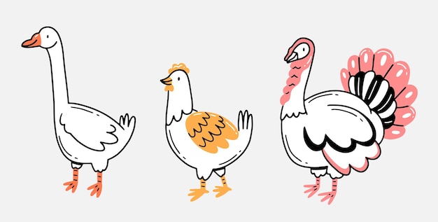 Whimsical Farmyard Fowl: A Charming Trio of Feathered Friends | Jiffy ...