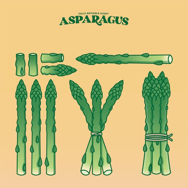 Vibrant Asparagus Spears in a Variety of Shapes and Sizes | Jiffy Designs