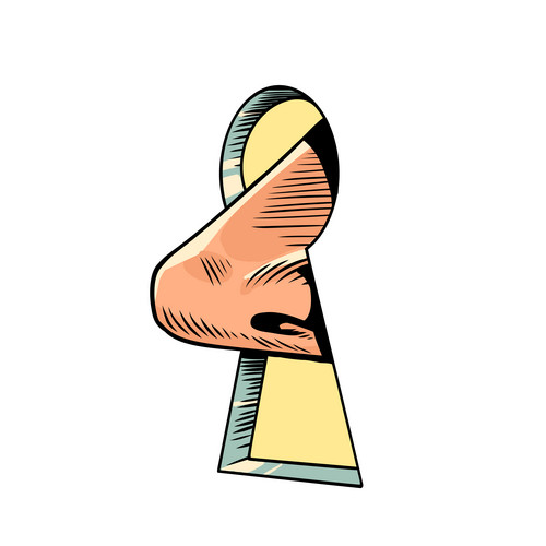 Human Nose Through A Key Lock. To Sniff Out What Is Closed To Others ...