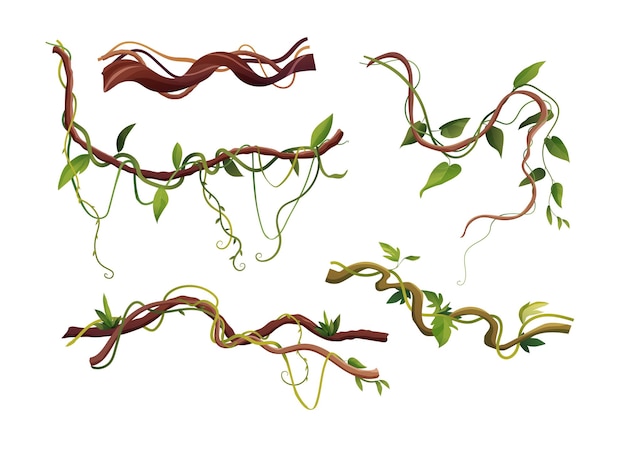 Whimsical Vines and Leaves Artistic Collection | Jiffy Designs