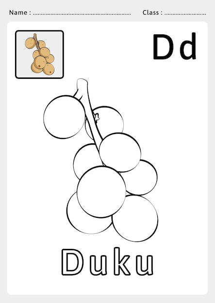 Playful Duku Fruit Illustration with Whimsical Circles | Jiffy Designs