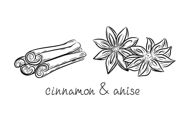 Elegant Illustration of Cinnamon Sticks and Anise Flowers | Jiffy Designs
