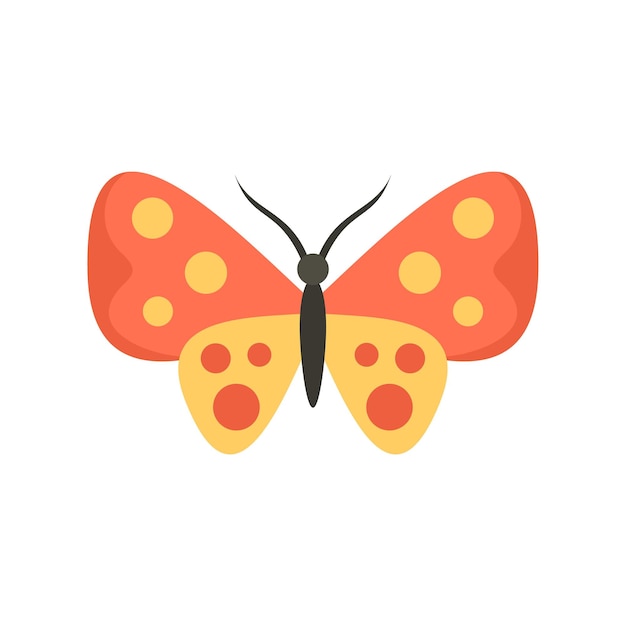 Vibrant Polka Dot Butterfly Illustration | Jiffy Designs