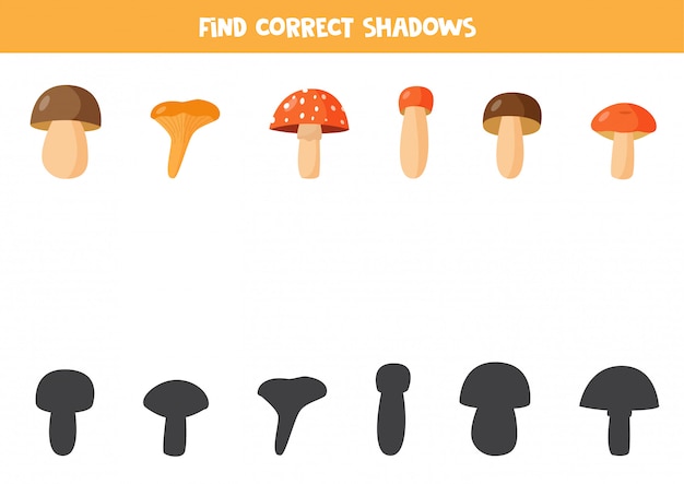 Diverse Mushroom Collection: Find the Matching Shadows | Jiffy Designs