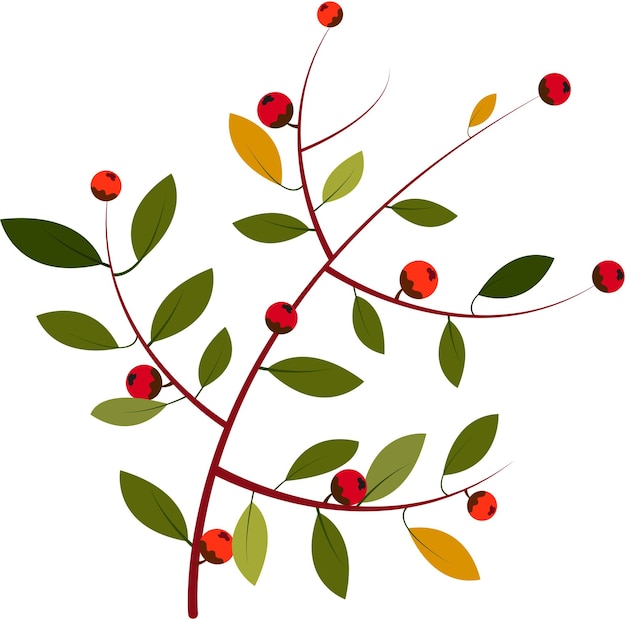 Vibrant Autumn Foliage and Berries on Branching Stems | Jiffy Designs