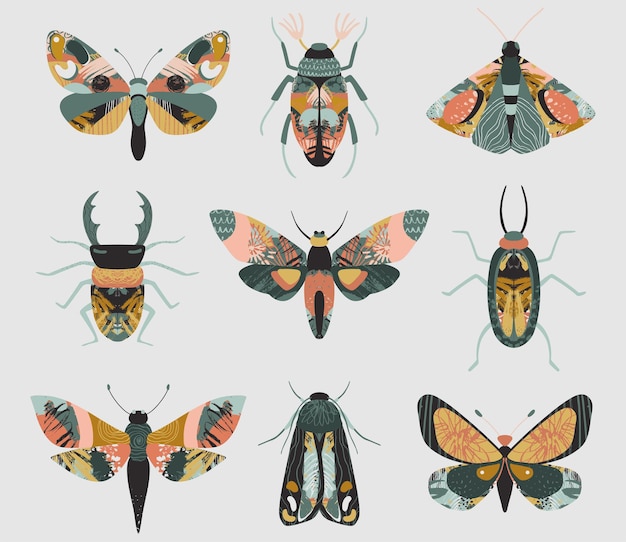 Assorted Insect Collection with Vibrant Patterns and Textures | Jiffy ...