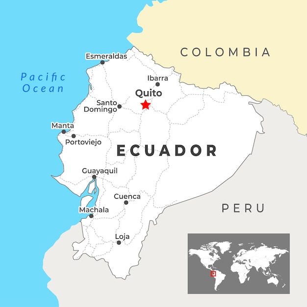 Vibrant Map of Ecuador and Neighboring Countries | Jiffy Designs