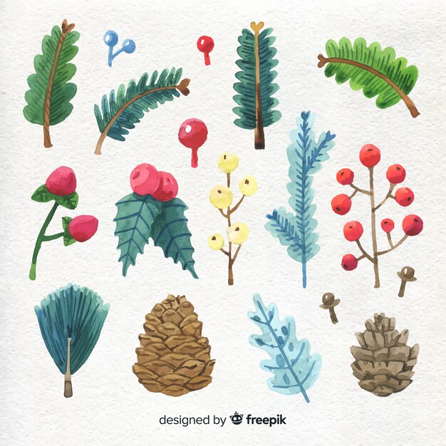 Vibrant Collection of Diverse Nature-Inspired Graphic Elements | Jiffy ...