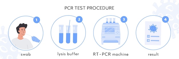 Detailed Illustration of the PCR Test Procedure | Jiffy Designs
