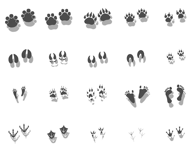 Diverse Animal Paw Prints in Grayscale Illustration | Jiffy Designs