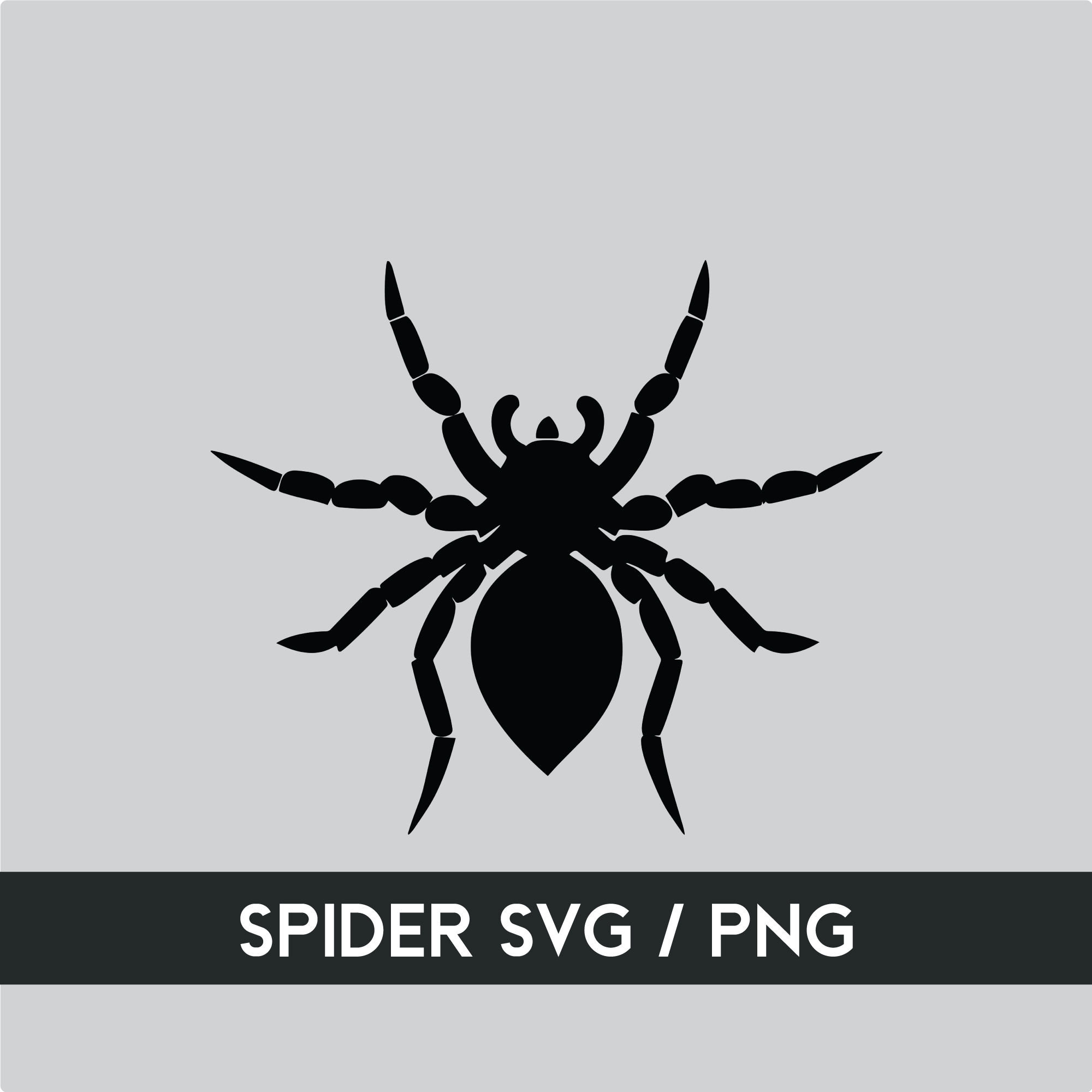 Spooky Spider Clip Art Png And Svg For Halloween Shirts And Crafts ...