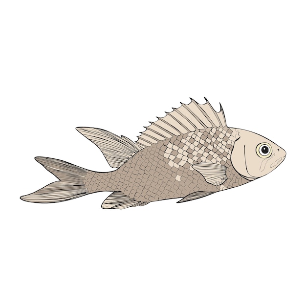 Ornamental Koi Fish with Intricate Scale Pattern | Jiffy Designs