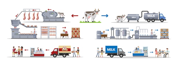 Bustling Dairy Farm: From Cow to Carton, A Visual Journey | Jiffy Designs
