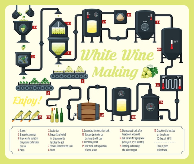 Delightful Guide to the Art of White Wine Making | Jiffy Designs
