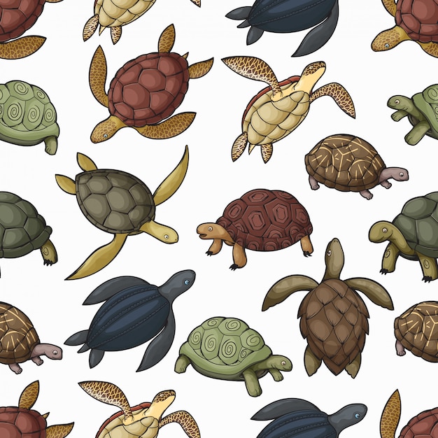Vibrant Parade of Whimsical Sea Turtle Illustrations | Jiffy Designs