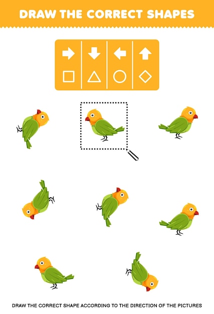 Adorable Parrots Matching Geometric Shapes | Jiffy Designs