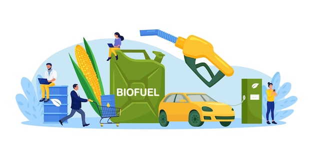 Exploring the Future of Sustainable Fuel: Biofuel and Electric Vehicles ...