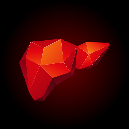 Red Low Poly Human Liver On A Black Background. Abstract Anatomy Organ ...