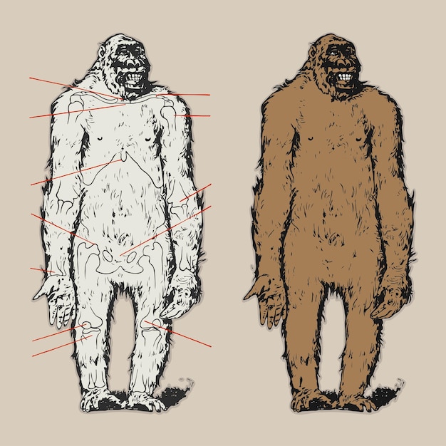 Captivating Depictions of Mysterious Primate Figures | Jiffy Designs