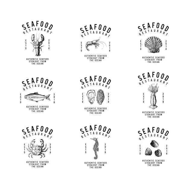 Captivating Seafood Collection: Diverse Marine Life Illustrations ...
