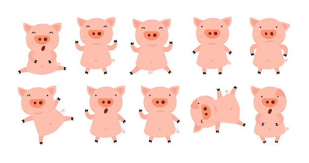 Adorable Piglet Parade: A Charming Collection of Cheerful Pigs | Jiffy ...