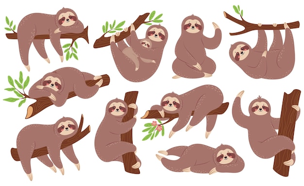 Charming Collection of Playful Sloth Characters in Various Poses ...