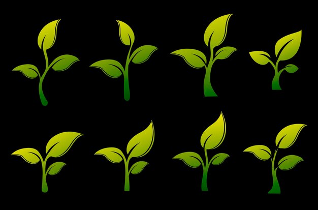 Vibrant Green Leaf Sprouts Collection on Black Background | Jiffy Designs