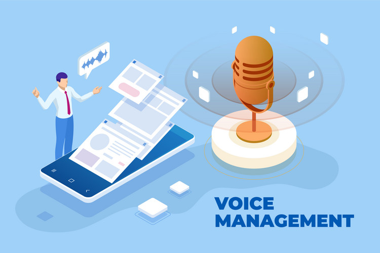 Isometric Voice Management And Digital Sound Wave Concept. Musical Melody Design. Soundwave ...