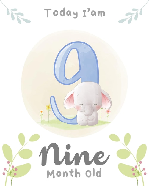Adorable Elephant Celebrates Nine Months of Growth | Jiffy Designs