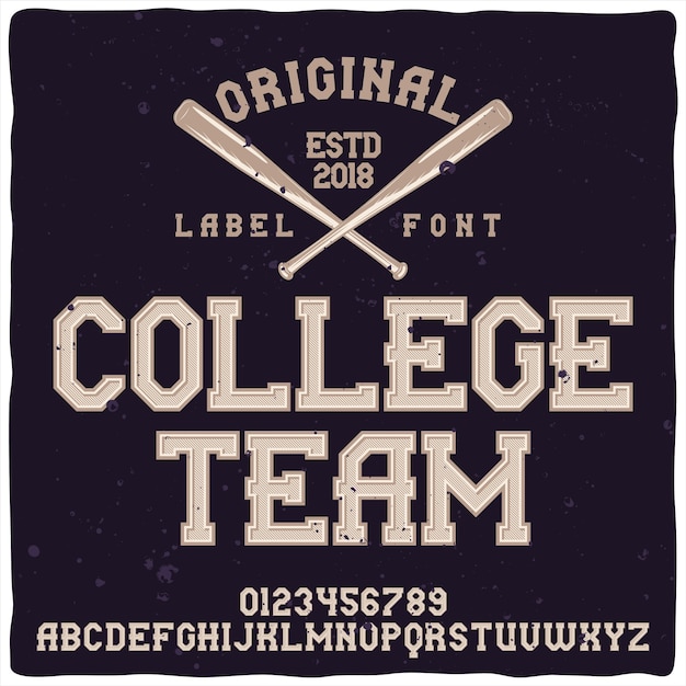 Vintage College Team Logo with Crossed Bats | Jiffy Designs