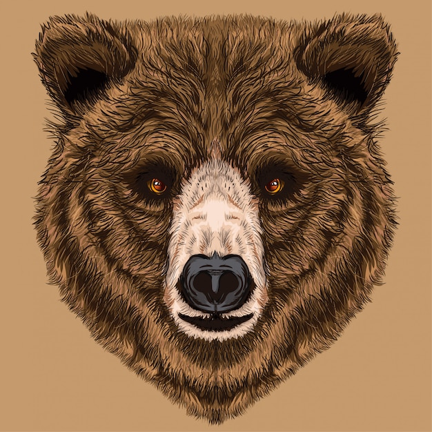 Majestic Brown Bear with Piercing Eyes in Detailed Portrait | Jiffy Designs