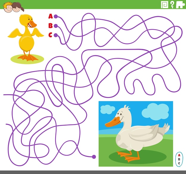 Playful Duck Maze: Guide the Chick to Its Feathered Friend | Jiffy Designs
