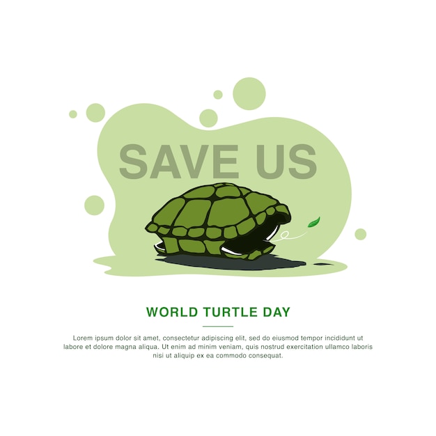 Vibrant Turtle Conservation Awareness on World Turtle Day | Jiffy Designs
