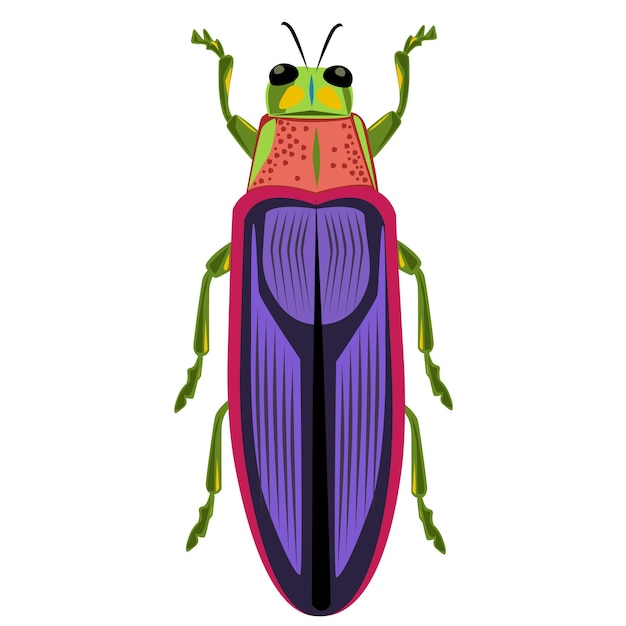 Vibrant Beetle with Intricate Wing Patterns | Jiffy Designs