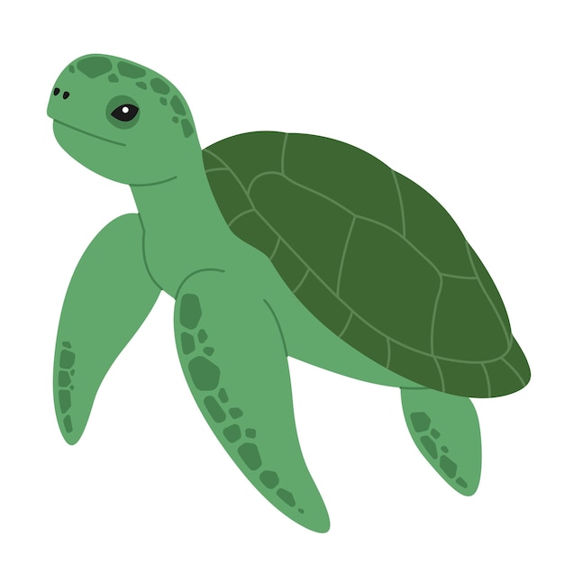 Green Sea Turtle Cartoon on Plain Background | Jiffy Designs