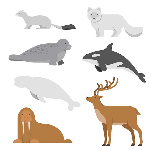 Diverse Collection of Charming Arctic and Subarctic Animal ...