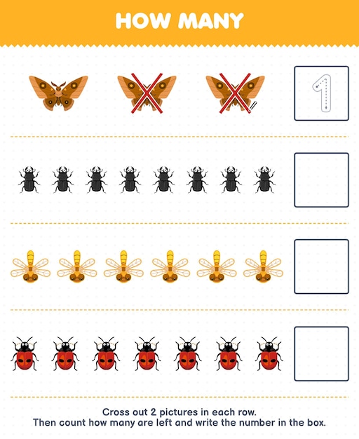 Counting Bugs and Butterflies: A Fun Visual Activity | Jiffy Designs
