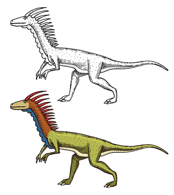 Prehistoric Reptiles: Spiny Carnivores of the Jurassic Era | Jiffy Designs