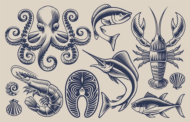 Captivating Nautical Collection of Iconic Sea Creatures | Jiffy Designs