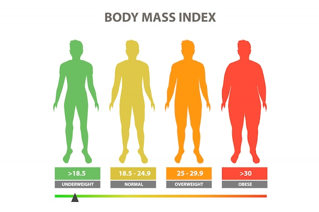 Informative Body Mass Index Chart with Silhouette Figures | Jiffy Designs