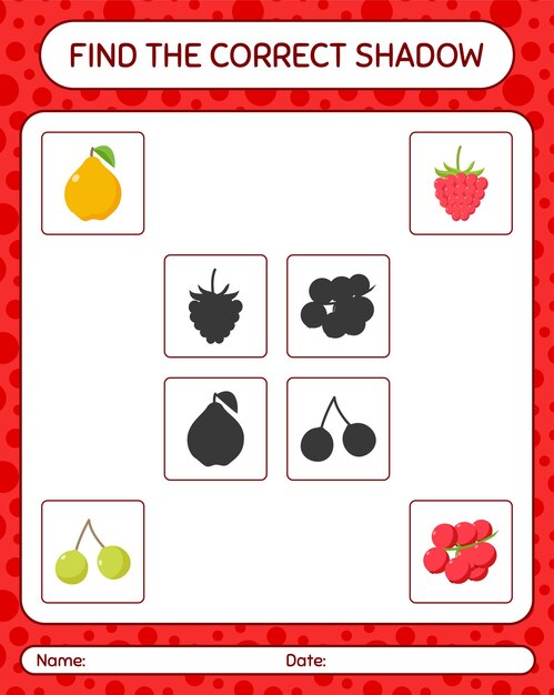 Matching Fruit Shadows: A Fun Visual Puzzle | Jiffy Designs