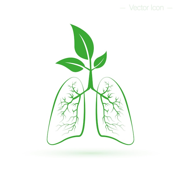 Vibrant Lungs: A Botanical Representation of Respiratory Health | Jiffy ...