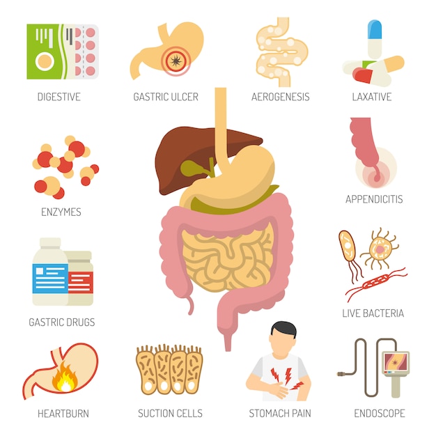 Vibrant Digestive System Illustration with Icons | Jiffy Designs