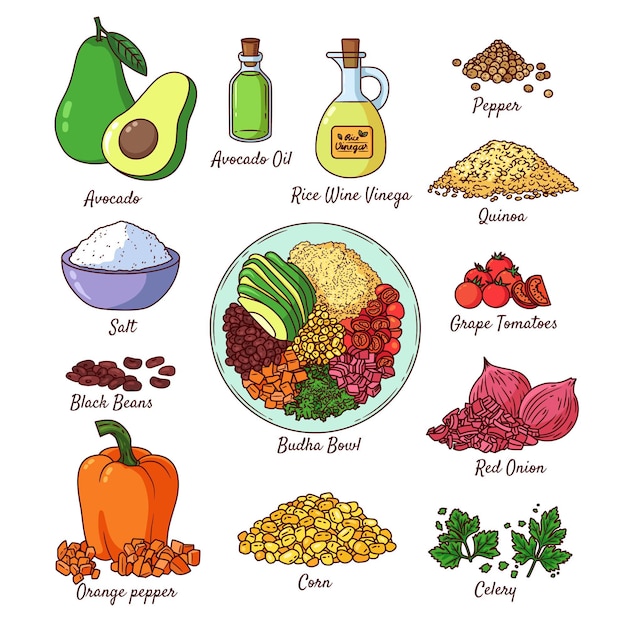 Vibrant Collection of Healthy Food Ingredients and Spices | Jiffy Designs