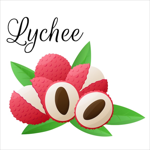 Vibrant Lychee Fruit with Leaves and Textures | Jiffy Designs