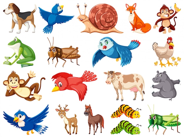 Vibrant Collection of Cartoon Animals and Insects | Jiffy Designs