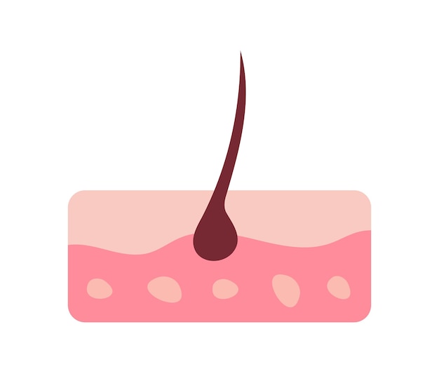 Vibrant Skin Pore with Protruding Hair Follicle | Jiffy Designs