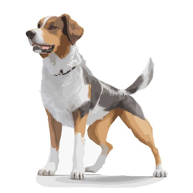 Loyal Beagle Pup Standing Tall and Alert | Jiffy Designs