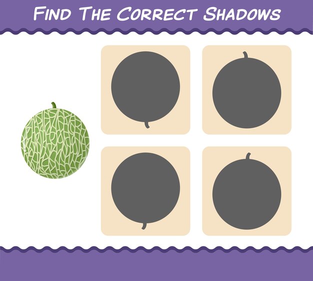Vibrant Melon Silhouettes: Matching Shapes and Shadows | Jiffy Designs